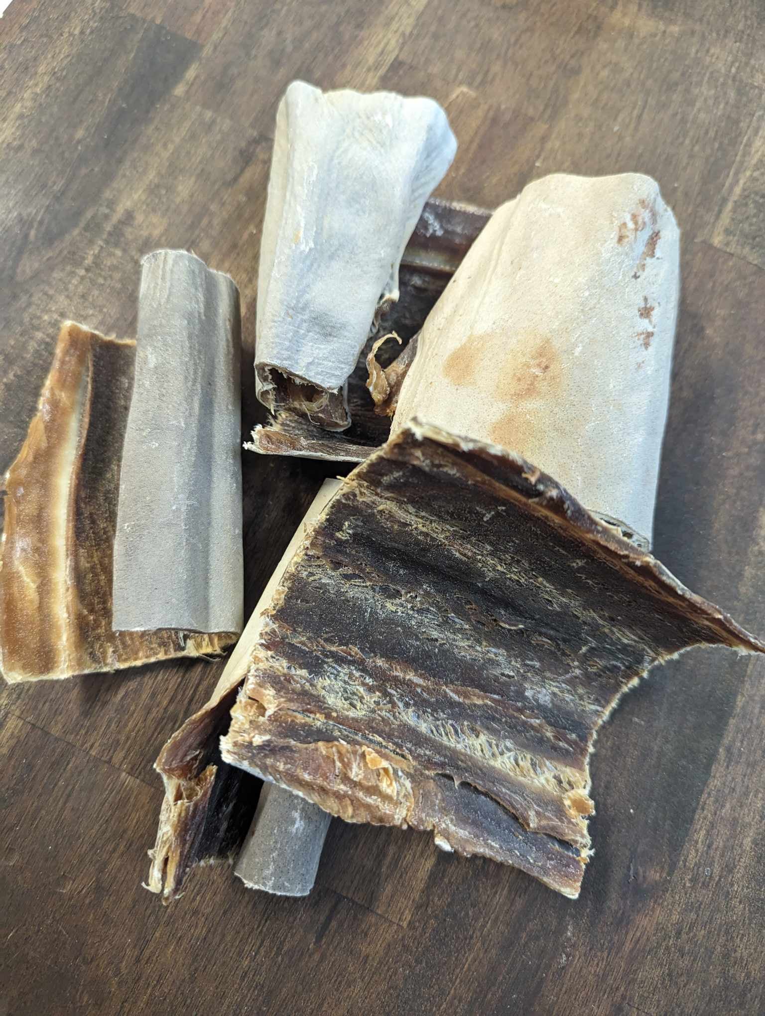 Dried Shark Skin Dental Chews | Spot On Nutrition